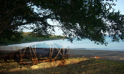 Provinces - Vanuatu Foreign Investment Promotion Agency